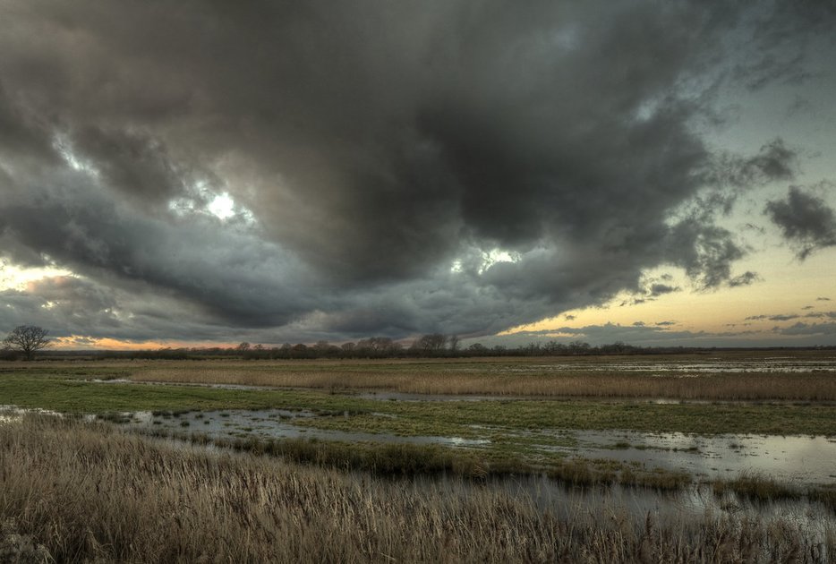 Miraculous Oats of Otmoor | Dark Oxfordshire
